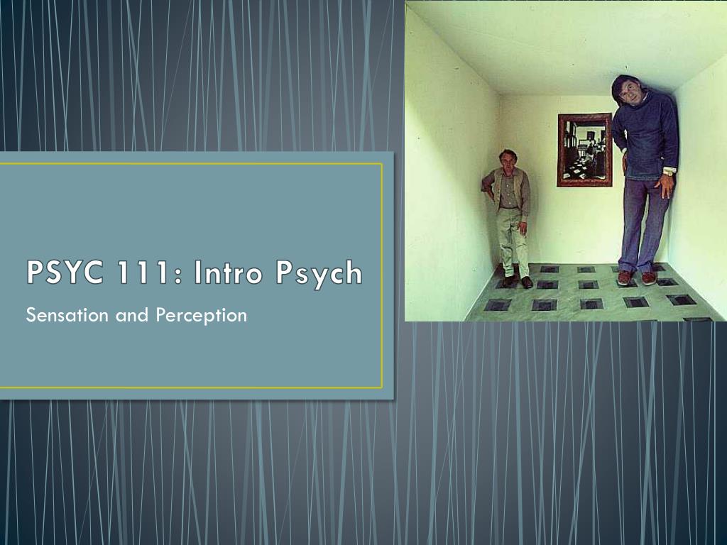 PPT - PSYC 111: Intro Psych PowerPoint Presentation, free download - ID ...