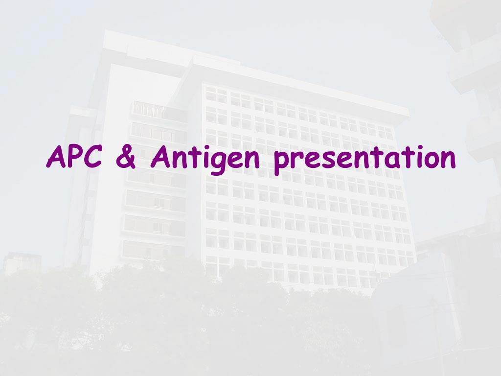 PPT - APC & Antigen presentation PowerPoint Presentation, free download ...