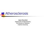 PPT - Atherosclerosis PowerPoint Presentation, free download - ID:947496