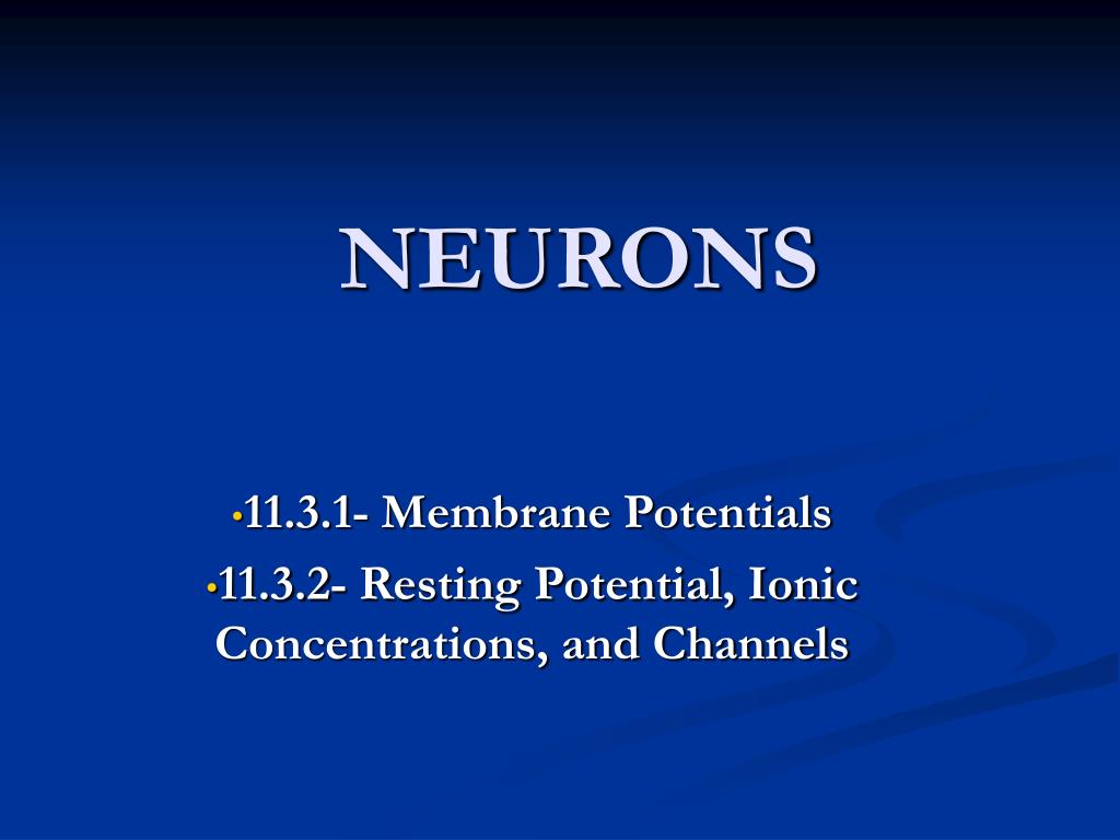 PPT - NEURONS PowerPoint Presentation, free download - ID:3468221