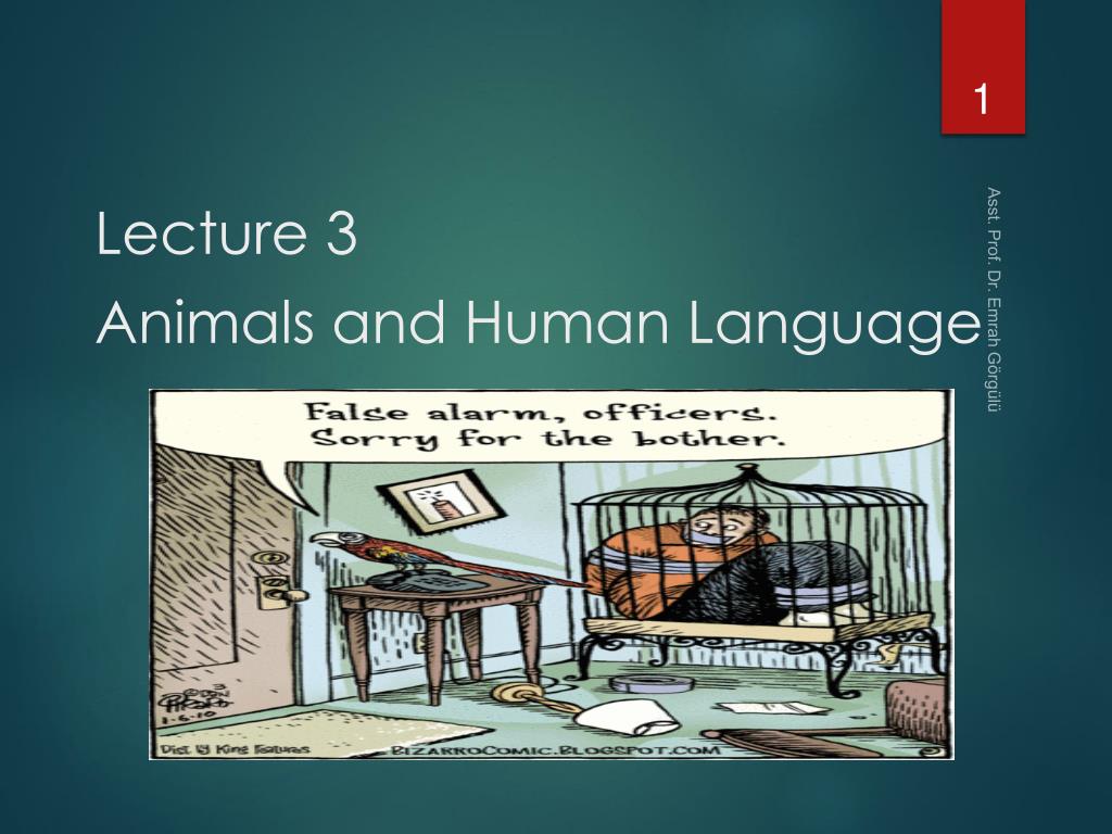 PPT - Lecture 3 Animals and Human Language PowerPoint Presentation ...