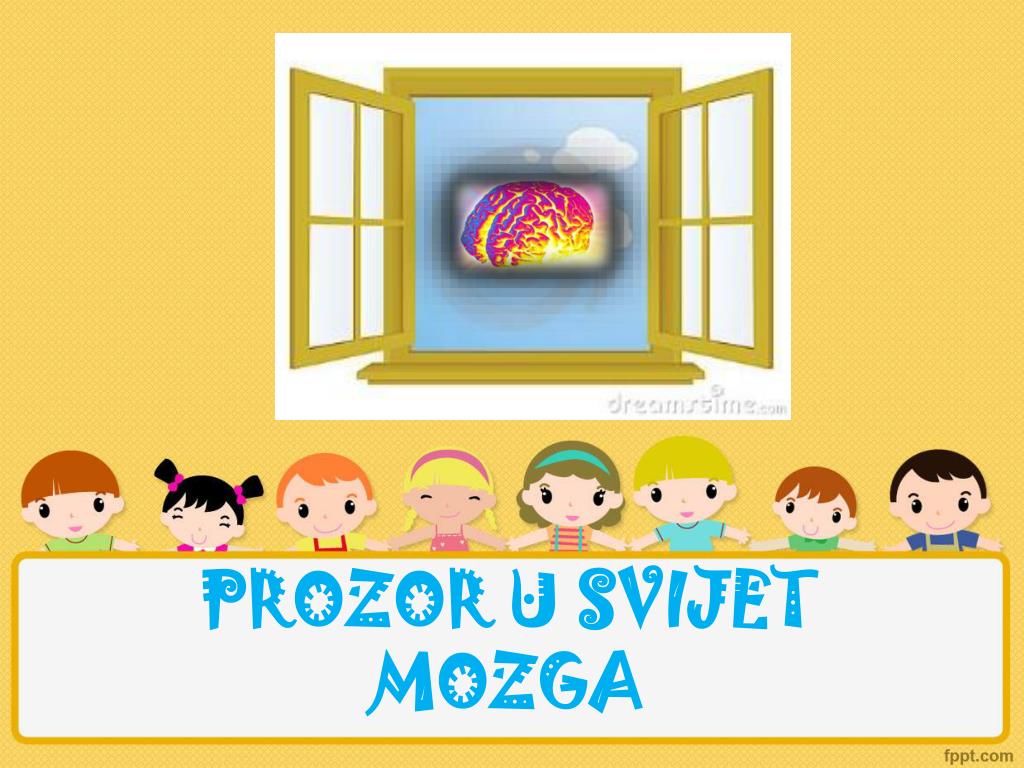 PPT - PROZOR U SVIJET MOZGA PowerPoint Presentation, free download - ID ...