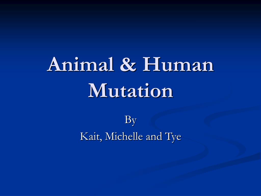 PPT - Animal & Human Mutation PowerPoint Presentation, free download ...