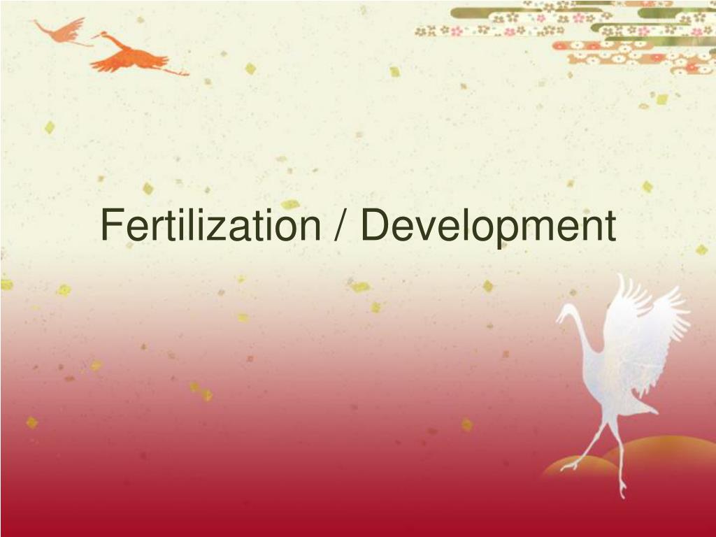 PPT - Fertilization / Development PowerPoint Presentation, free ...