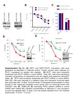 PPT - VECTOR CONTROL PowerPoint Presentation, free download - ID:5712109