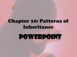 PPT - Bi205-10 Extranuclear inheritance PowerPoint Presentation, free ...