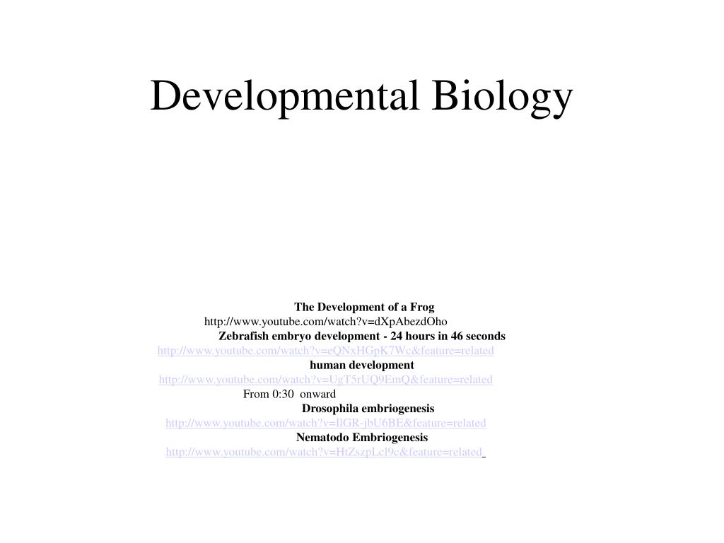 PPT - Developmental Biology PowerPoint Presentation, free download - ID ...