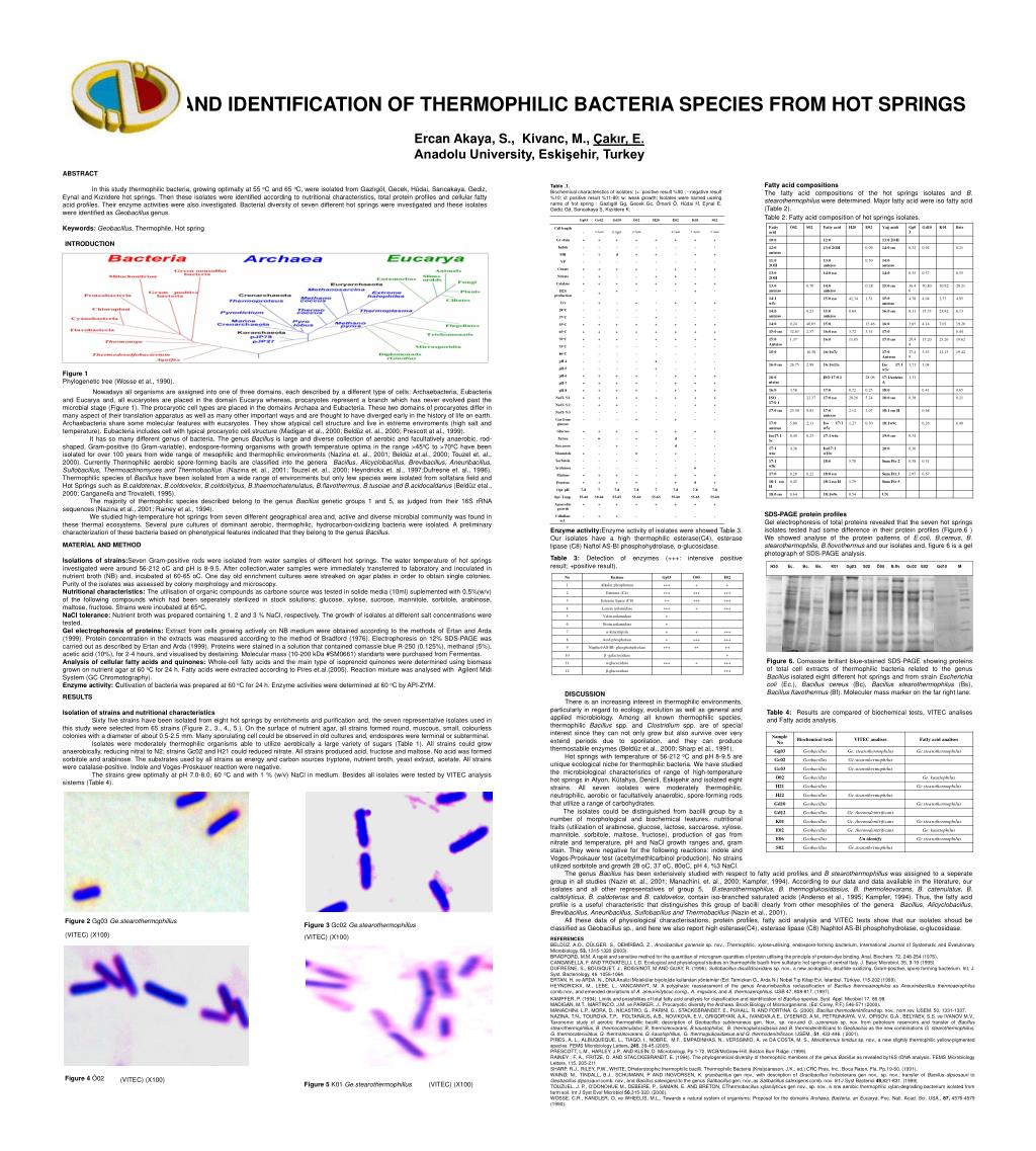 PPT - ISOLATION AND IDENTIFICATION OF THERMOPHILIC BACTERIA SPECIES ...
