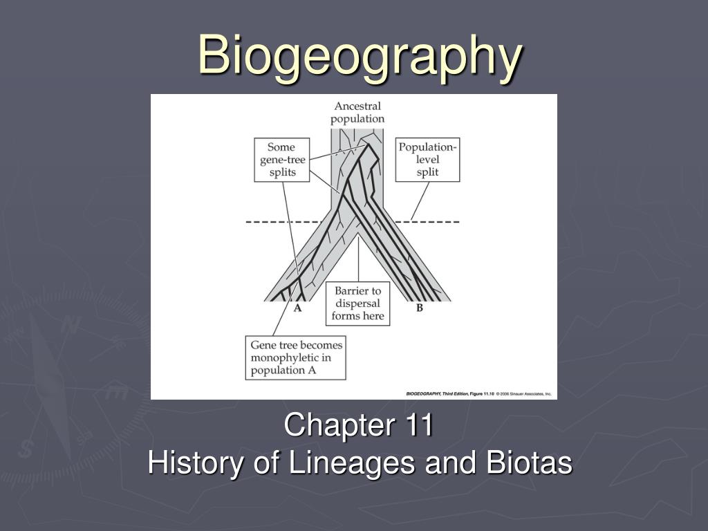 PPT - Biogeography PowerPoint Presentation, free download - ID:3493825