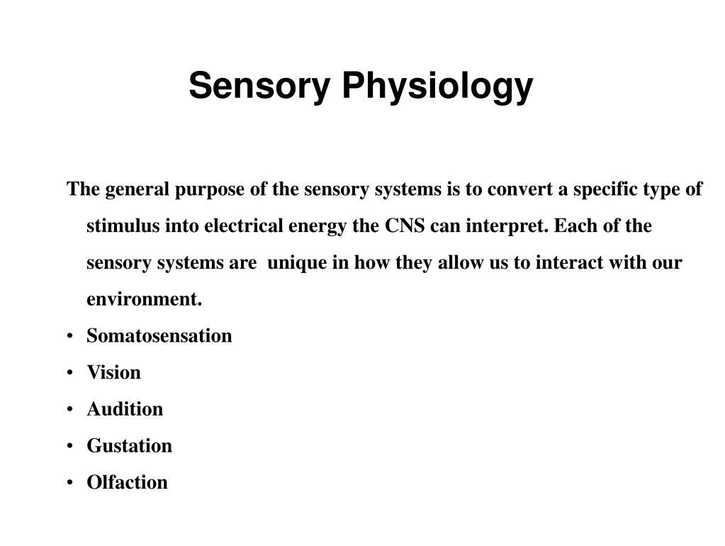 PPT - Sensory Physiology PowerPoint Presentation, free download - ID ...