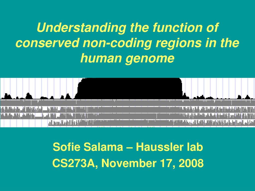 Ppt Understanding The Function Of Conserved Non Coding Regions In The Human Genome Powerpoint