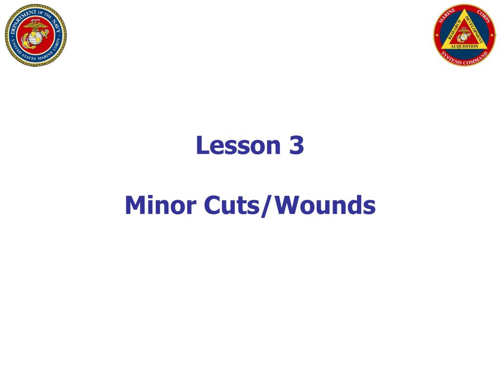 PPT - Lesson 3 Minor Cuts/Wounds PowerPoint Presentation, free download ...
