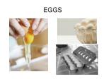 PPT - PREPARE VEGETABLES, EGGS AND FARINACEOUS DISHES PowerPoint ...