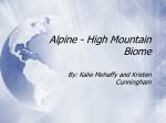 PPT - The Alpine Biome PowerPoint Presentation, free download - ID:2270333