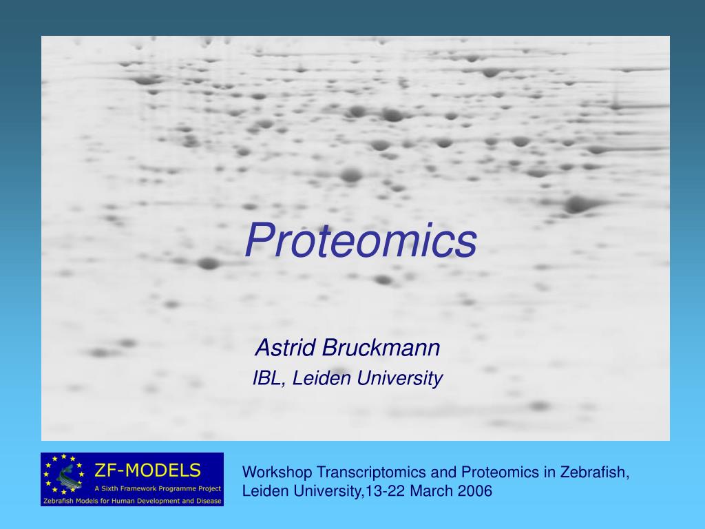 PPT - Proteomics PowerPoint Presentation, free download - ID:3506848
