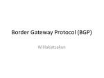 PPT - Border Gateway Protocol PowerPoint Presentation, free download ...
