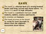 PPT - HAWK EYE TECHNOLOGY PowerPoint Presentation, free download - ID ...