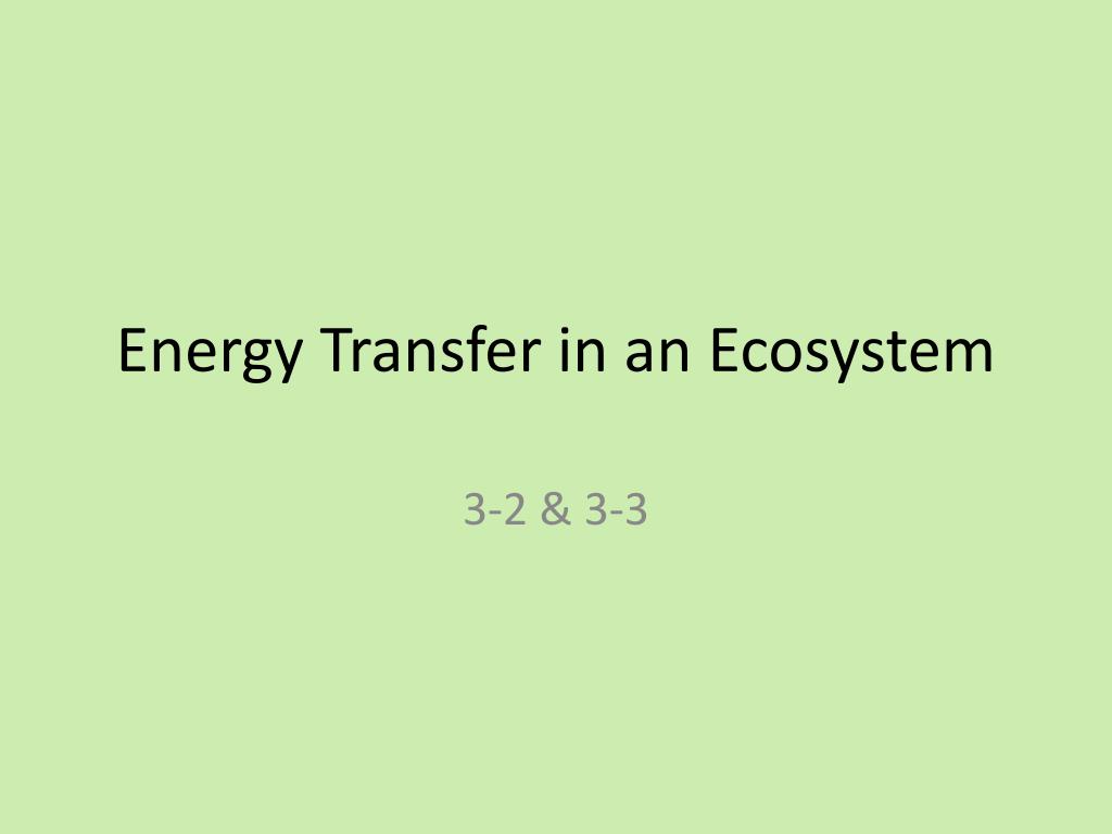 PPT - Energy Transfer in an Ecosystem PowerPoint Presentation, free ...