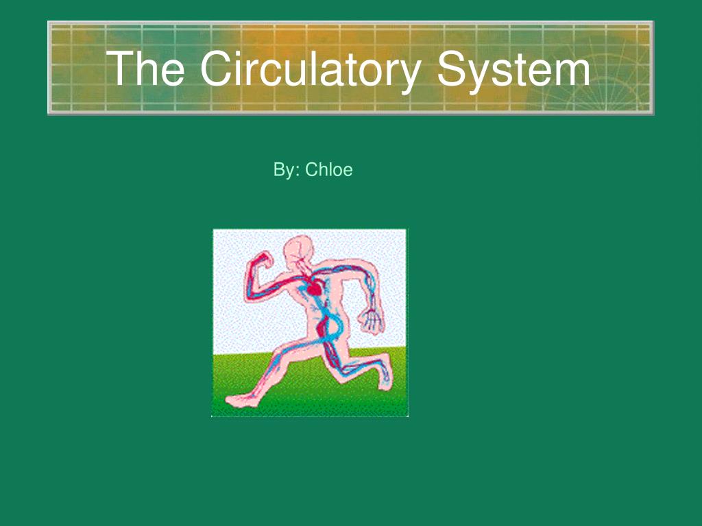 PPT - The Circulatory System PowerPoint Presentation, free download ...