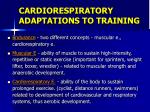 PPT - Neuromuscular Adaptations to Resistance Training PowerPoint ...