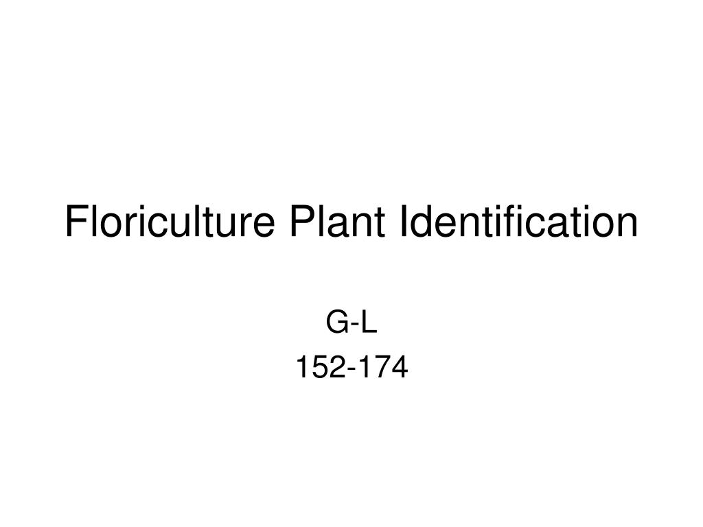 PPT - Floriculture Plant Identification PowerPoint Presentation, free ...
