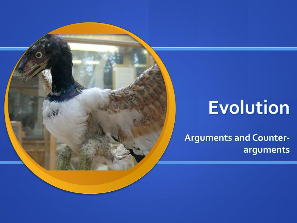 PPT - Evolution PowerPoint Presentation, free download - ID:3537574