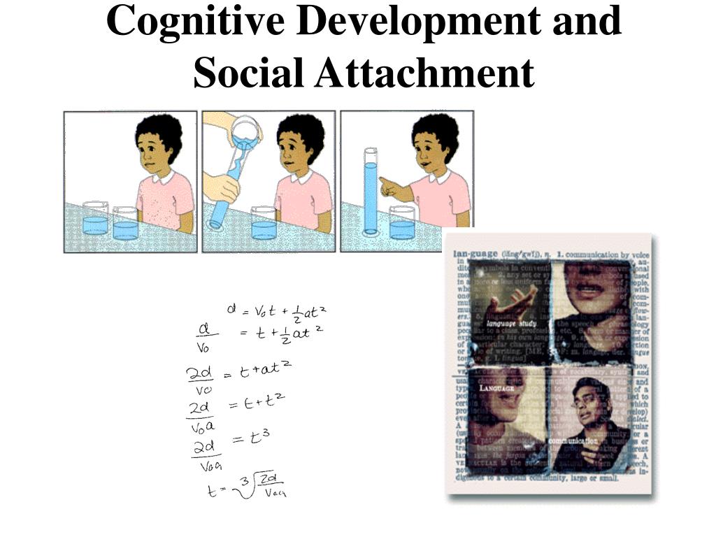 PPT - Cognitive Development and Social Attachment PowerPoint ...