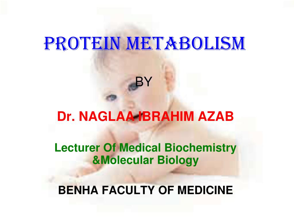 PPT - Protein metabolism PowerPoint Presentation, free download - ID ...