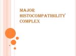 PPT - Major Histocompatibility Complex, aka MHC PowerPoint Presentation ...