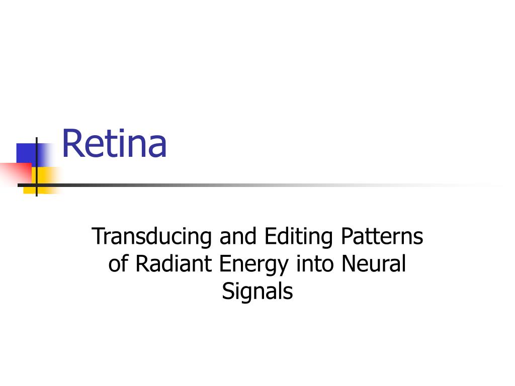 PPT - Retina PowerPoint Presentation, free download - ID:3549733