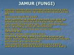 PPT - JAMUR DAN KHAMIR PowerPoint Presentation, free download - ID:3550748