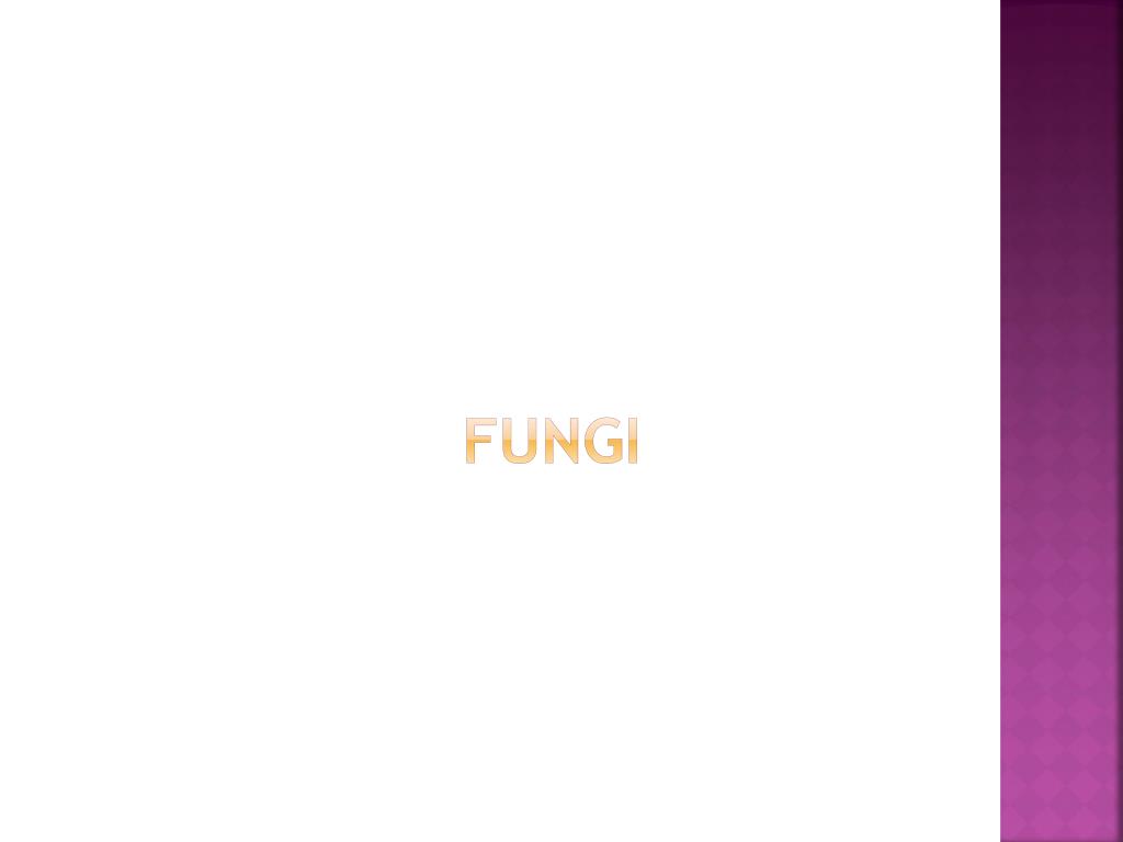 PPT - FUNGI PowerPoint Presentation, free download - ID:3550334