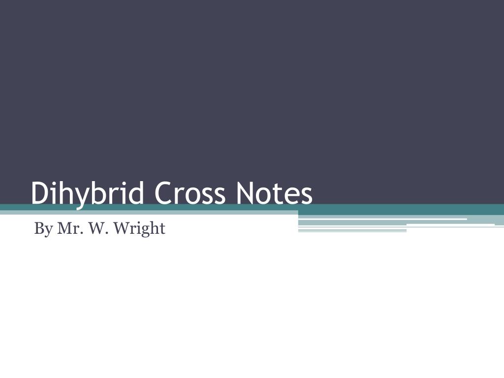 PPT - Dihybrid Cross Notes PowerPoint Presentation, free download - ID ...