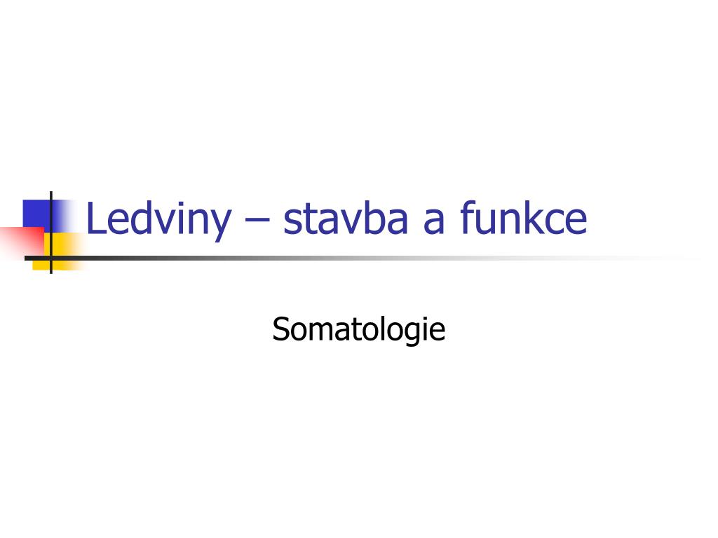 PPT - Ledviny – stavba a funkce PowerPoint Presentation, free download ...