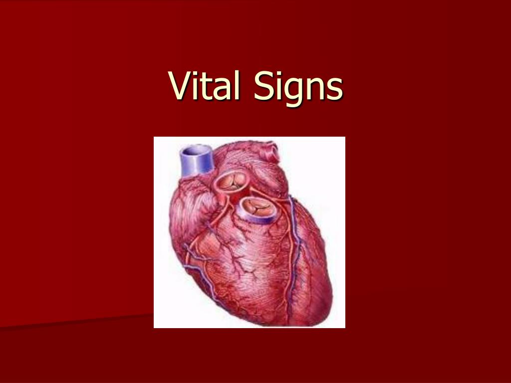 PPT - Vital Signs PowerPoint Presentation, free download - ID:3552106