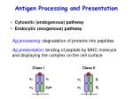 PPT - Antigen presentation and antigen presenting cell PowerPoint ...