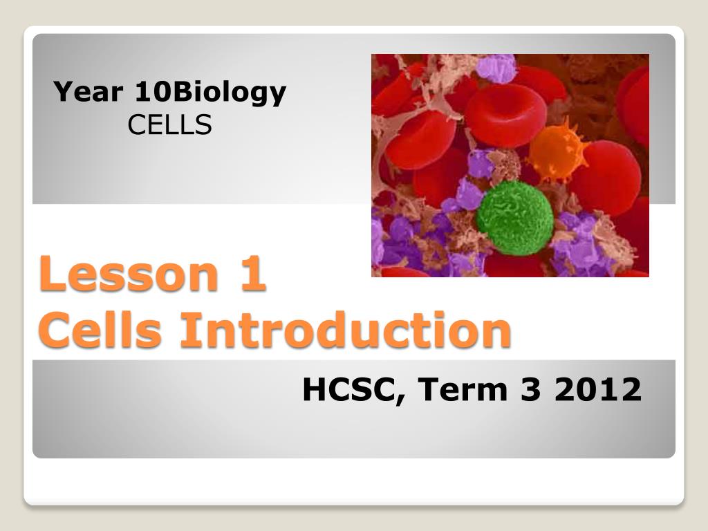 PPT - Lesson 1 Cells Introduction PowerPoint Presentation, free ...