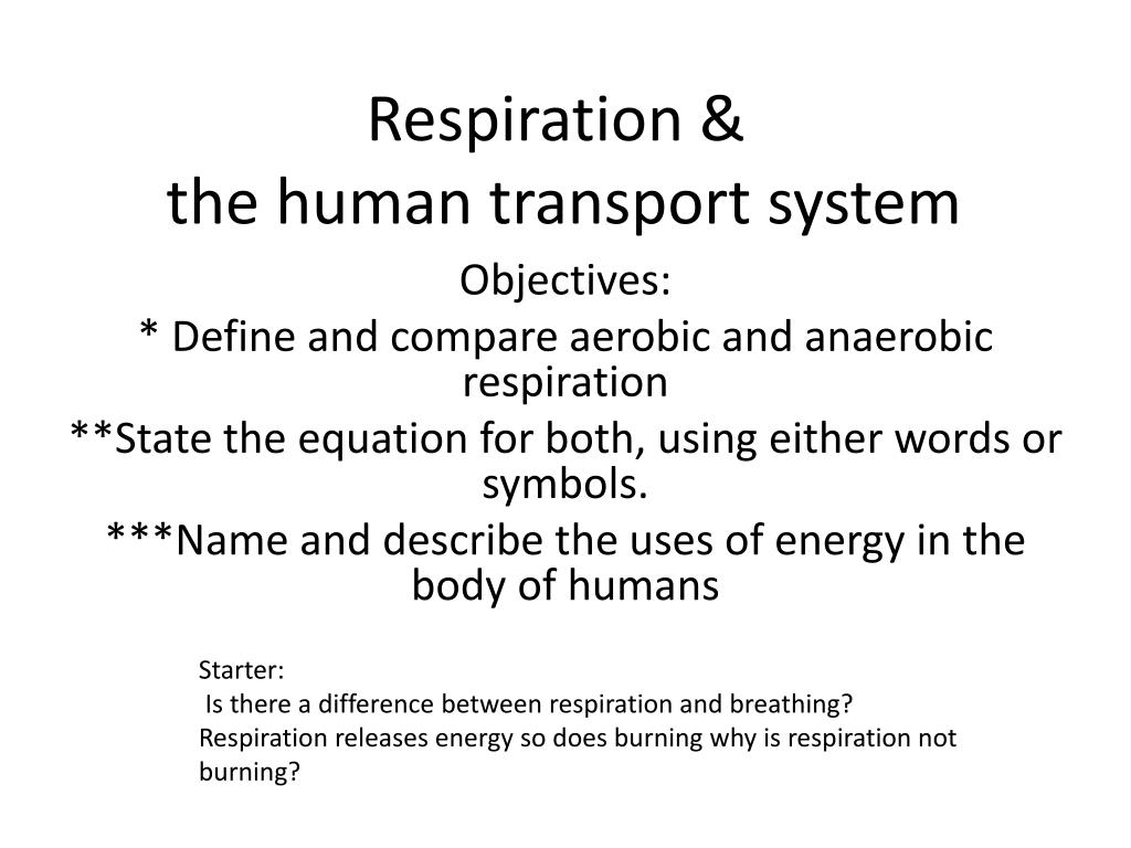 PPT - Respiration & the human transport system PowerPoint Presentation ...