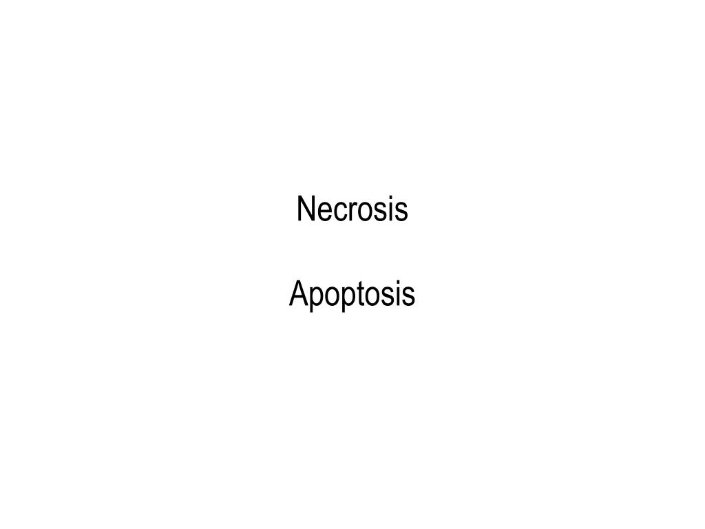 PPT - Necrosis Apoptosis PowerPoint Presentation, free download - ID ...