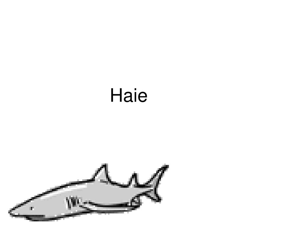 PPT - Haie PowerPoint Presentation, free download - ID:3566574
