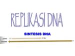 PPT - SINTESIS PROTEIN PowerPoint Presentation, free download - ID:4331823