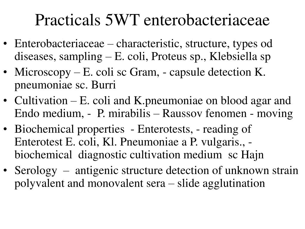 PPT - Practicals 5WT enterobacteriaceae PowerPoint Presentation, free ...
