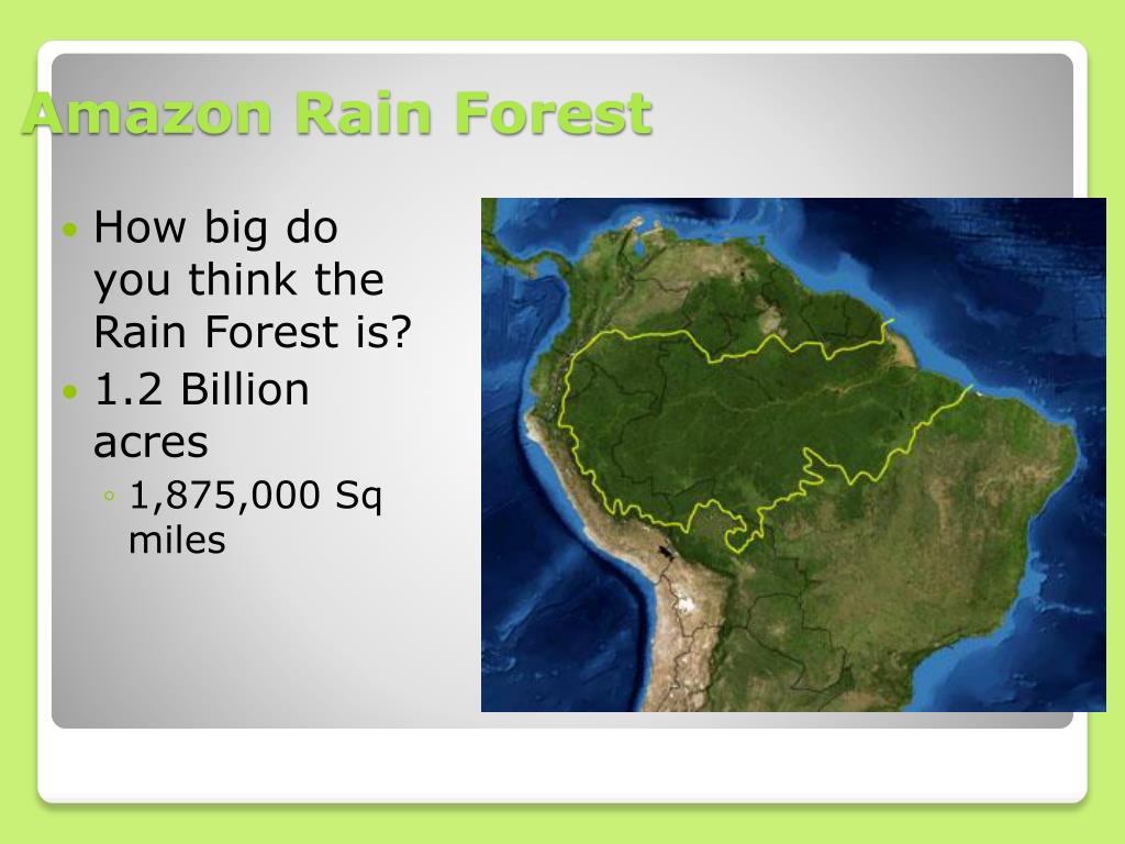 PPT - Explore the Amazon Rainforest: A Biodiverse Wonder of Nature ...