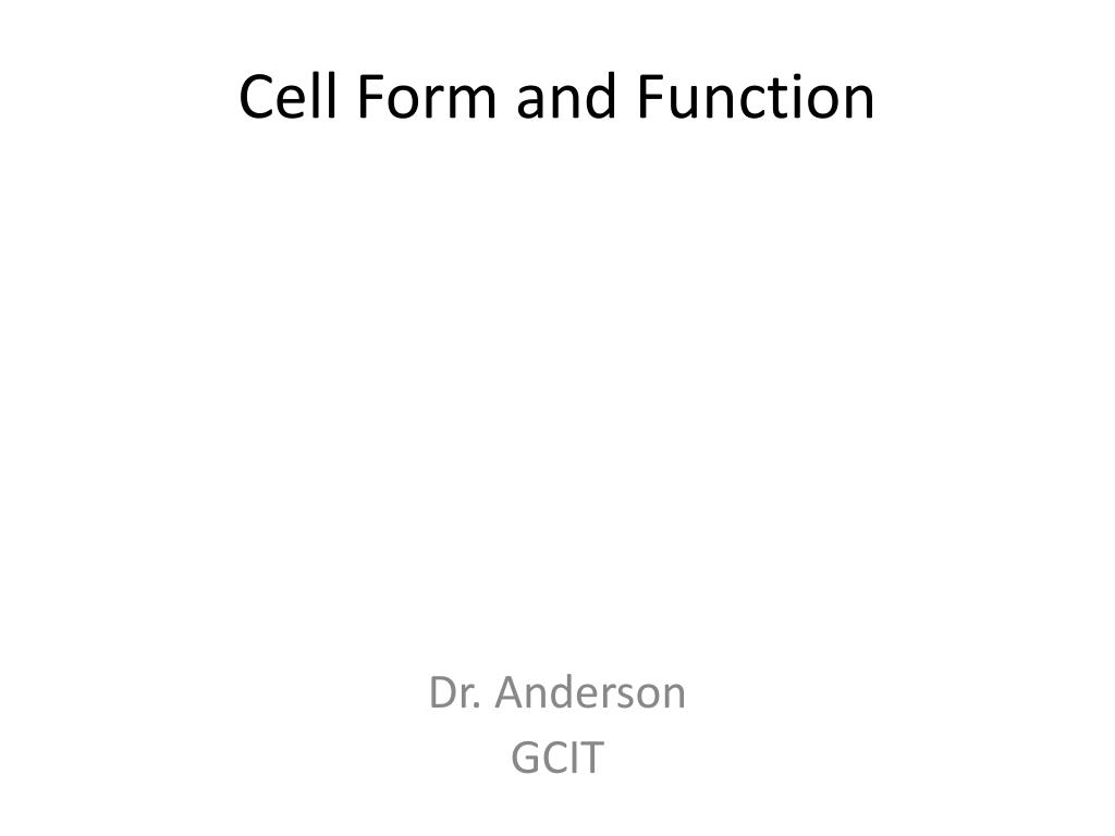 PPT - Cell Form and Function PowerPoint Presentation, free download ...