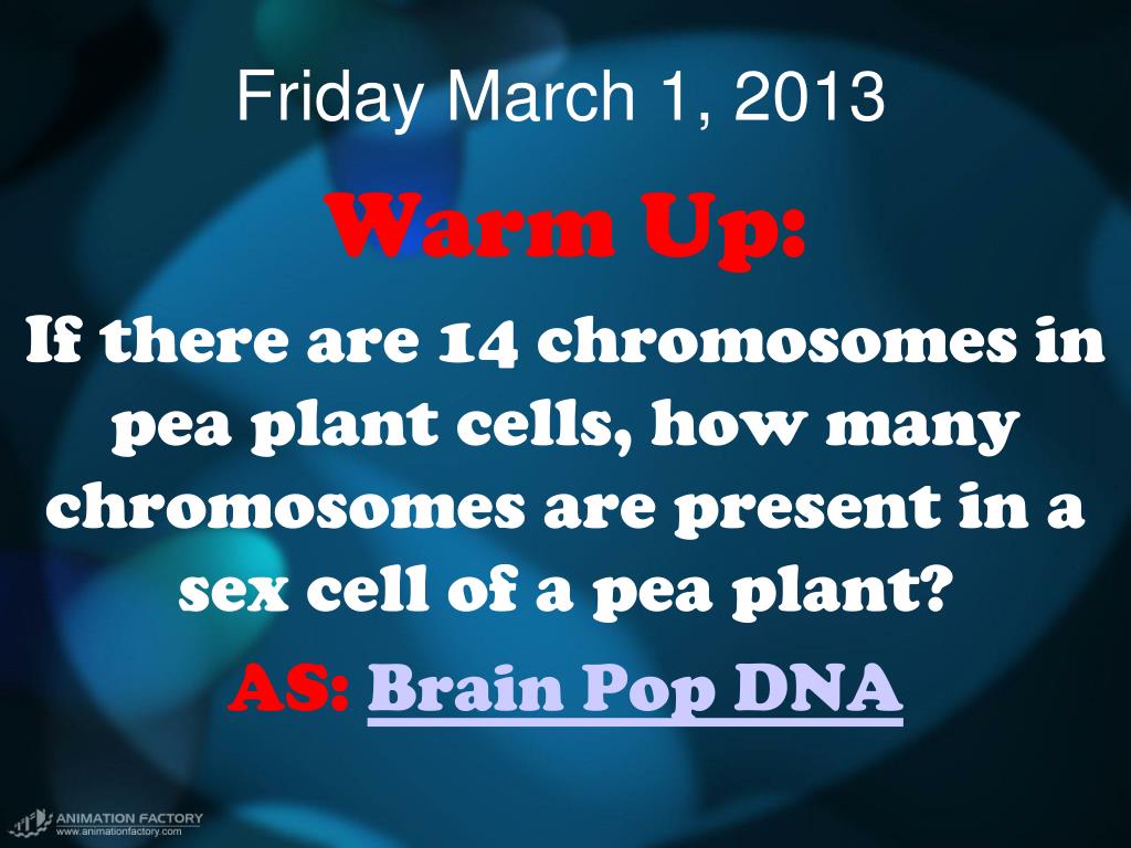 PPT - Friday March 1, 2013 PowerPoint Presentation, free download - ID ...
