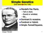 PPT - ONE GENE – ONE POLYPEPTIDE HYPOTHESIS PowerPoint Presentation ...