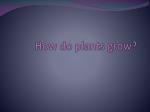 PPT - How Plants Grow PowerPoint Presentation, free download - ID:546292