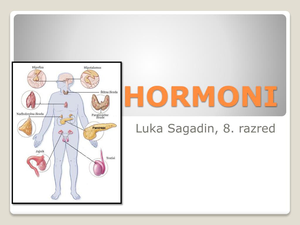 PPT - HORMONI PowerPoint Presentation, free download - ID:3582721