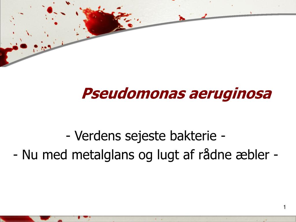 PPT - Pseudomonas aeruginosa PowerPoint Presentation, free download ...