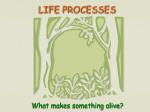 PPT - CHAPTER - 6 LIFE PROCESSES PowerPoint Presentation, free download ...